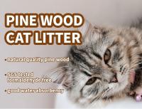 China 10kg 20kg Pine Wood Pellets Cat Litter for OEM Low Tracking Flushable Fragrance None for sale