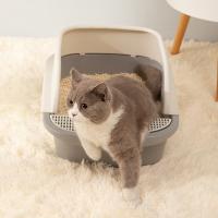 China Large Top Open Cat Litter Tray with Anti-Splash Design and Free Scoop Sustainable for sale