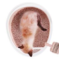 China Convenient Semi-Closed Cat Litter Tray for Cats Keep Your Home Clean and Fresh for sale