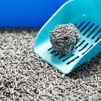 China Customized 1.5mm 2.5mm Activated Carbon Tofu Cat Litter OEM/ODM Clumping Clean Black for sale