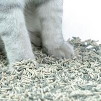 China Flushable Soluble Plant Deodorization Scented Cat Litter 1.5mm/2mm/2.5mm Item Type for sale