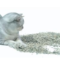 China Neutralize Odors and Keep Your Cat Happy with Cereal Charcoal Pellets Cat Litter Mix for sale