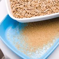 China Dust Free Deodorant Pine Wood Powder Cat Litter Natural Wood Pellets for Pet OEM/ODM for sale