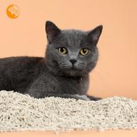 China Cats' Favorite Natural Cereal Cat Litter with Original Scent and Super Deodorizing for sale