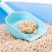 China Natural Plant-Based 2mm Pine Wood Clumping Cat Litter for Customized Pet Waste Control for sale