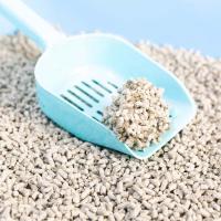 China Original Pine Wood Fragrance Charcoal Wood Clumping Cat Litter for Eco-Friendly Homes for sale