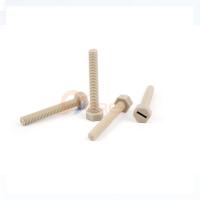 China Industrial PEEK 1000 Machined Parts Screw High Temperature Resistance for sale