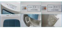 China Coverage Area 25sq. ft. Hot Stamping Logo Mini Dehumidifier for Home Closet Air Water for sale