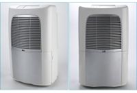 China 16 Per Day DH-166BD Small Portable Dehumidifier with Hot Stamping Logo and 220V Voltage for sale