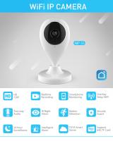 China WIFI IP CAMERA NIP 55AI 1280X720 for sale