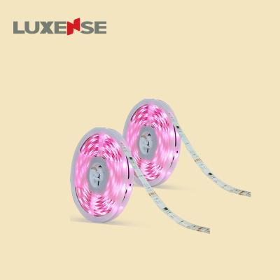 China PU / Silicon Material 48W 1m / 2m Smart Home LED Strip for sale