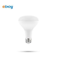China E26 E27 Base Tunable RGBW Br30 Led Bulbs PC Lamp Body for sale