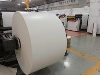 China Biodegradable Paper Cup With 12gsm PE Coating 170g-350g GSM Virgin Pulp SGS Certified for sale