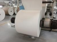 China 170g-350g Paper Cup Raw with 2000 Tons/month Production Ability by JW Paper Cup Fan for sale