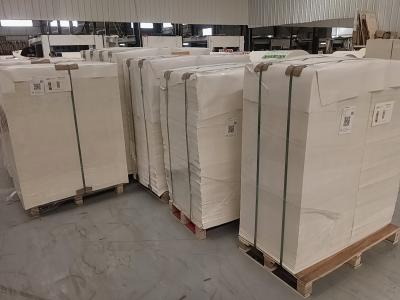 China Waterproof Food Grade Paper Cup Sheet With Film Lamination 150-320gsm Free Sample Offer for sale