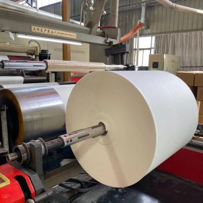 China PE Coated Paper Cup Raw Material Specification 550mm-1200mm Width for sale