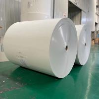 China Single PE Coated Paper Cup Roll 320gsm White Kraft Waterproof for sale