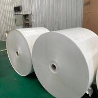 China QS W 1200mm Waterproof Coated Paper Tea Cup Raw Material 350g for sale
