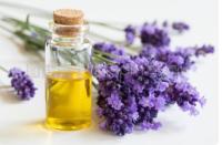 China Enhance Digestive Essential Oils In Animal Nutrition Improve Immunity for sale