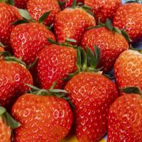 China Natural Pure Fresh Strawberry Flavor Powder For Feed Palatability for sale