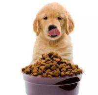China Chicken Aroma Raw Dog Food Additive Dog Food Taste Enhancer Fine Granule for sale