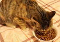 China Nutritional Cat Food Flavour Enhancer Light Brown Powder ISO Certified for sale