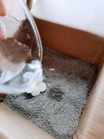 China Effective Odor Neutralizing Cat Litter Powder In 25kg Convenient for sale