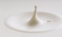 China Origin Nutritional Vanilla Flavor Powder Calf Livestock Feed Flavoring for sale