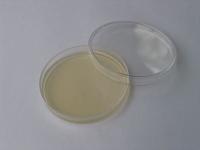 China Customized Dry Food Pet Flavor Powder with 25% Protein Content for sale