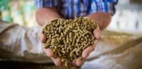 China DDC Essential Oils For Animal Feed Stimulate Animal Appetite And Improve Digestive Enzyme Activity for sale