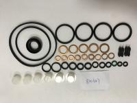 China OEM Common Rail Injection Repair Kits Fuel Pump Spare Parts 800647 for sale