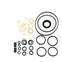 China OEM Common Rail Injection Repair Kits Fuel Pump Spare Parts 800647 for sale