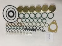 China Diesel Fuel Injection Pump Repair Kit Sealing O Ring Set 2417010010 for sale