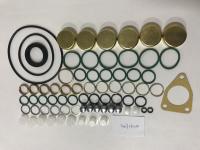 China Diesel Fuel Injection Pump Repair Kit Sealing O Ring Set 2417010010 for sale