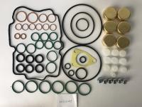 China Diesel Gasket Fuel Injection Pump Repair Kit 2417010045 Sealing Ring For Accessories for sale