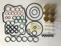 China Diesel Gasket Fuel Injection Pump Repair Kit 2417010045 Sealing Ring For Accessories for sale