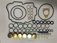 China Diesel Gasket Fuel Injection Pump Repair Kit 2417010045 Sealing Ring For Accessories for sale