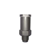 China Auto Parts 1110010007 Bosch Injector Pressure Limiting Valve for sale