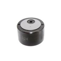 China Fuel Injection Parts D24 Fuel Parts Common Rail Delivery Valves for sale