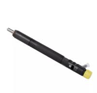 China High Pressure CR Engine EJBR04501D Diesel Car Common Rail Delphi Fuel Injector for sale