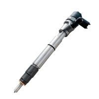 China Standard Size 0445110486 Common Rail Injector Engine Diesel Spare Parts 0 445 110 486 for sale