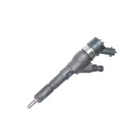 China Standard Size 0 445 110 055 Bosch Fuel Injection Common Rail Injector 0445110055 for sale