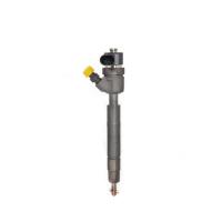 China Standard Size 0 445 110 055 Bosch Fuel Injection Common Rail Injector 0445110055 for sale