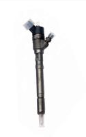 China 0 445 110 290 Bosch Common Rail Injector Fuel Diesel Injection Nozzle Parts 0445110290 for sale