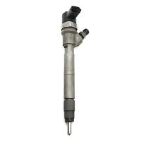 China CE Certifiion Spare Parts 0 445 110 317 Common Rail Injector Nozzle 0445110317 for sale