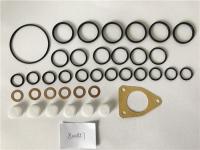 China Diesel Fuel Injector Pump Repair Kit 800857 For Common Rail Parts for sale