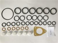 China Diesel Fuel Injector Pump Repair Kit 800857 For Common Rail Parts for sale