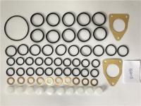 China OEM 800888 Common Rail Repair Kits Diesel Fuel Injection Pump Gasket for sale