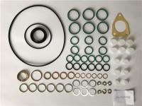 China 2417010008 Common Rail Engine Parts Oil Pump Injector Repair Kit 800017 for sale