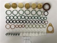 China 2417010021 Diesel Fuel Pump Repair Kits 800718 Diesel Engine Parts for sale